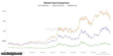 Las altcoins se niegan a morir: Top 3 señales positivas en pleno miedo extremo