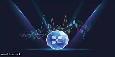 XRP ETF, 하루 만에 310억 원 거래…기관 수요 확산에 안정적 흐름 유지