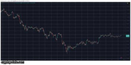 These Are This Week’s Top Performers as Bitcoin Settles at $91K: Weekend Watch