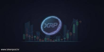 XRP, 강제 청산 '제로'…완벽한 비대칭 포지션에 가격 전환 신호