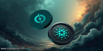 Cardano (ADA) Investors Rush To GeeFi (GEE) After Phase 2 Sold 10% Of The Tokens In The First Day 