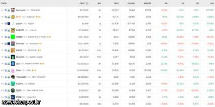 [DEX 리포트] 솔라나발 밈코인 랠리 지속…SantaHat 급등, DEX 거래량 142억 달러 돌파