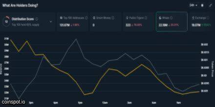 Киты слили 8 миллионов MONAD за сутки — что будет с ценой?