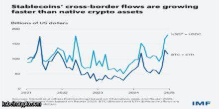 IMF, 스테이블코인 금융 안정성 위험 경고…국경 간 흐름 BTC·ETH 앞섰다