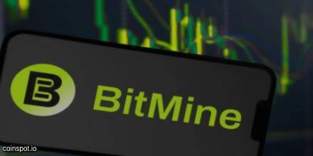 BitMine увеличила стоимость своих активов до $13,2 млрд и возобновила крупные покупки ETH