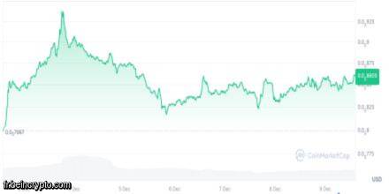 Et si Shiba Inu devenait la pépite inattendue de 2026 ? 2 signaux interrogent