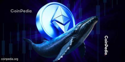 Ethereum Whales Turn Bullish; Can They Fuel An End Of Year Rally?