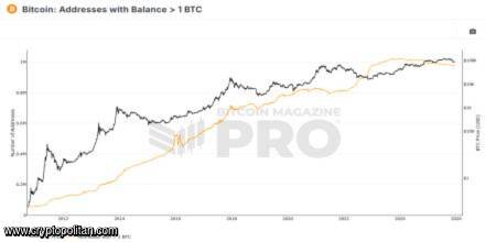 Wholecoiner activity on Binance shows signs of slowing