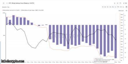 비트코인 고래들, 매도 모멘텀 약화 중…상승 반전 일어날까?