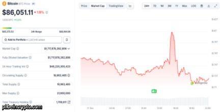 Bitcoin zyskał i stracił prawie 100 mld USD w kilka godzin: Co się stało?