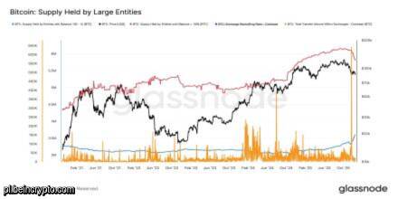 Wieloryby Bitcoina poruszają się — jednak nie tam, gdzie zakładały rynki
