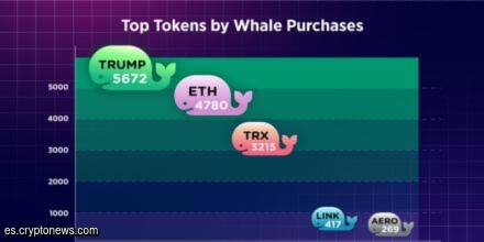 Estos fueron los tokens elegidos por las ballenas tras la caída del mercado en octubre