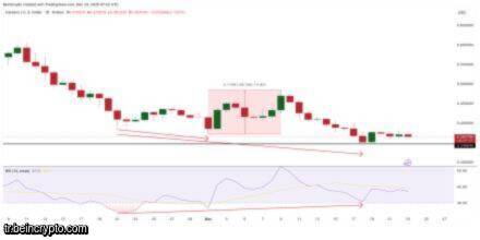 Cardano’da 36 milyon Dolar’lık balina alımı geri dönüş sinyaliyle karşılaştı: Sırada ne var?