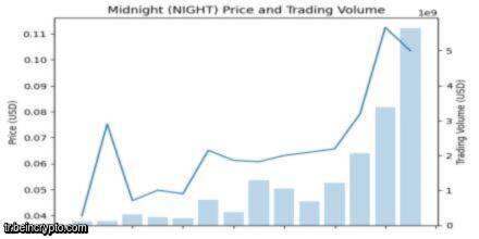 Midnight: Binance ve Coinbase Listeleme Yaparsa İlk 20’ye Girebilir