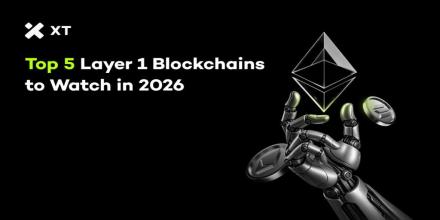 Top Five Layer 1 Blockchains Investors Are Watching for 2026