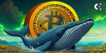 Las ballenas de Bitcoin alcanzan máximos anuales en medio de las salidas navideñas