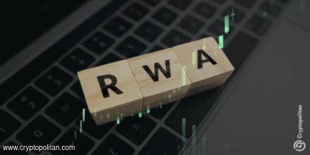 RWA tokens come out on top as most crypto sectors endure down year