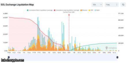 [1월 초 대규모 청산 가능성 있는 알트코인] SOL, ZEC, LINK