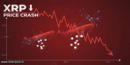 리플(XRP) 최대 55% 급락 신호…고래 매도·네트워크 둔화가 압박