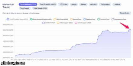 6 obiecujących kryptowalut prywatności okiem Grayscale