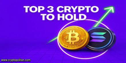 Top 3 Cryptos to Stack Before 2026: Halborn-Audited Mutuum Finance Crushes SOL & BTC