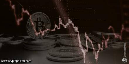 Bitcoin treasury companies face valuation strain, 40% now underwater