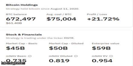 마이크로스트래티지, 사모펀드 2대 문제 비트코인으로 해결