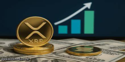 [롱/숏] XRP 11% 급등에 파생도 들썩… 초단기 롱 쏠림 포착
