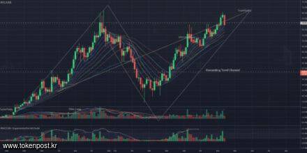 비트코인, 반등에도 '데드 캣 바운스' 경고…SuperGuppy·EMA 100 돌파가 관건