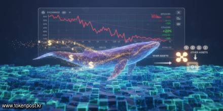 XRP 고래 거래 폭증…바이낸스 잔고는 26억 개로 연중 최저
