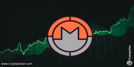 Monero leads privacy coin market capitalization as ZEC dips under $400