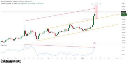 3 Altcoins That Could Hit All-Time Highs In Second Week Of January 2026