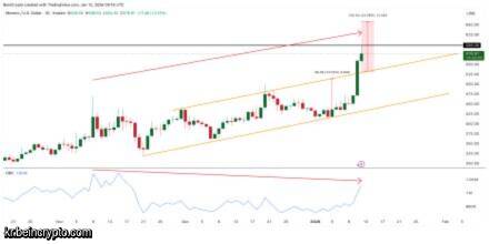 [이주의 신고가 가능 알트코인] 모네로(XMR), 캔톤(CC), 레인(RAIN)