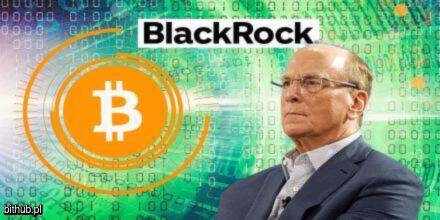 BlackRock wraca do Bitcoina? Największe zakupy od krachu. „Wygląda na to, że wracamy”
