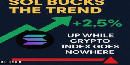 SOL Bucks The Trend: +2.5% Up While Crypto Index Goes Nowhere