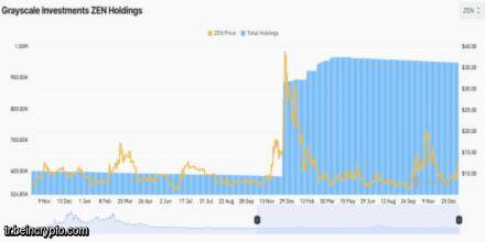 Ocak’ta Balinalar Tarafından Yoğun Alınan 3 Orta Ölçekli Gizlilik Coin’i