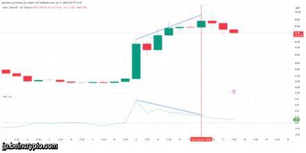 DASH、100ドル下回る　今後の見通し