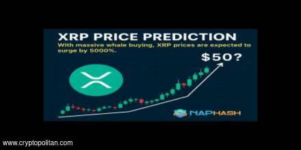 Could XRP Jump from $2 to $50? Investors Earn $25,700 a Day in Passive Income Through NAP Hash Cloud Mining