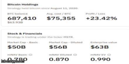 루이지애나 연기금, 마이크로스트래티지 주식 320만달러치 매입