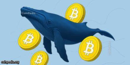 Bitcoin Whale Moves $85M After 13 Years