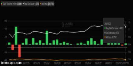 Solana ETFs Outperform Bitcoin and Ethereum Amid Market Crash