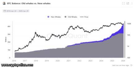New whales take control of Bitcoin supply