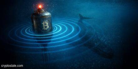 How one Bitcoin whale is absorbing the world’s entire daily mining supply as Bitcoin price faces $90,000 friction