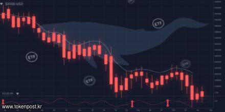 이더리움($ETH), 고래·ETF 매도 압력에 3,000달러 붕괴…기술적 지지선 흔들