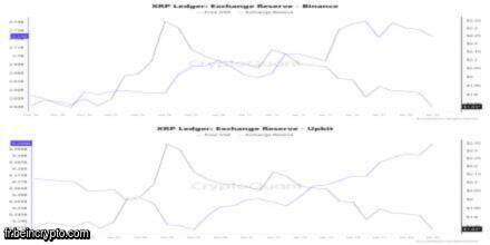 XRP en danger ? Des signaux annoncent une liquidation massive