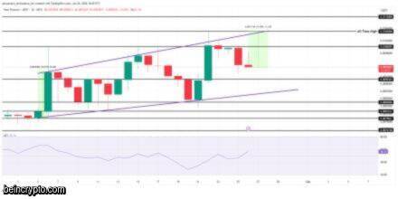 3 Altcoins That Could Hit All-Time Highs In The Final Week Of January 2026