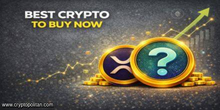 Best Crypto to Buy Now: Is Mutuum Finance (MUTM) a Smarter Investment Than Ripple (XRP) in 2026?