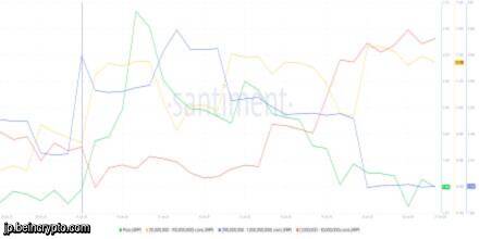 XRPクジラが800億ドル売却、再下落か