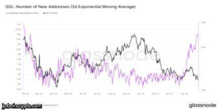 ソラナ、新規保有者1000万　価格上昇の可能性は