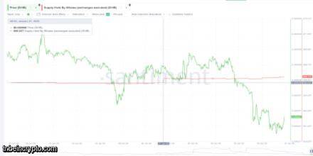 Kripto Para Balina’ları 2026 Şubat’ında Hangi Coin’leri Alıyor?